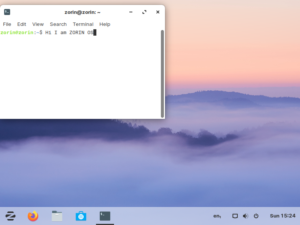 The 5 Most Beautiful Linux Distros Out Of The Box - Linux Stans