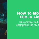 How to Find a File in Linux - Linux Stans
