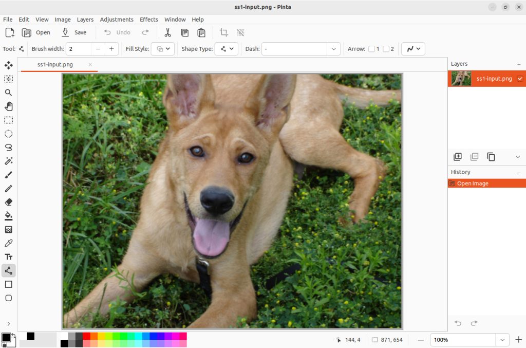 How to Install and Use Adobe Photoshop on Ubuntu