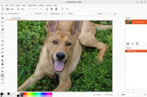 How to Install and Use Adobe Photoshop on Ubuntu